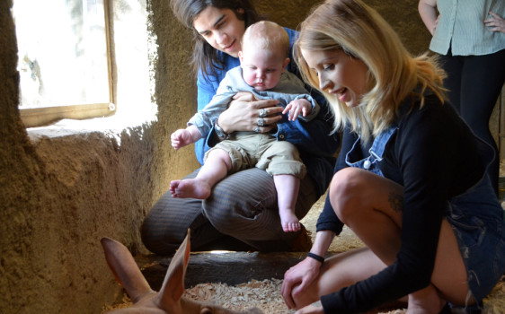 Peaches Geldof (25) tot in ihrer Wohnung aufgefunden— Rolling Stone