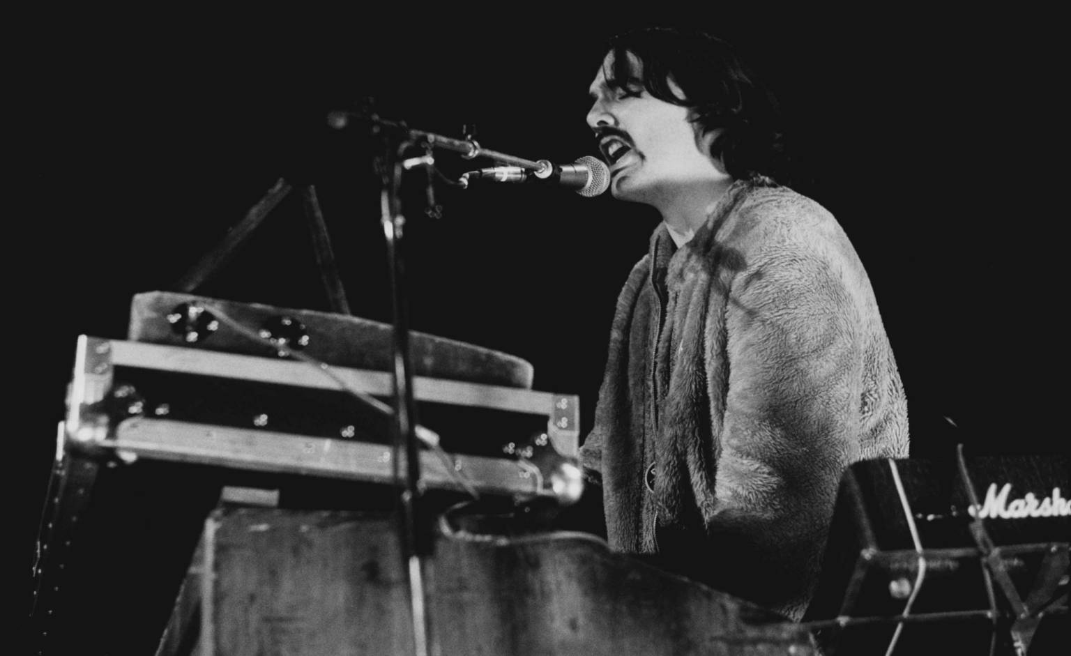 The Stranglers: „Golden Brown“ - Fakten, Lyrics, Interpretation