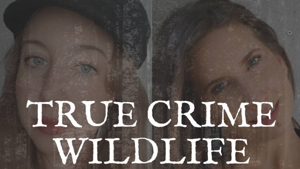 Neuer Podcast „True Crime Wildlife“: Wahre Verbrechen aus dem Tierreich