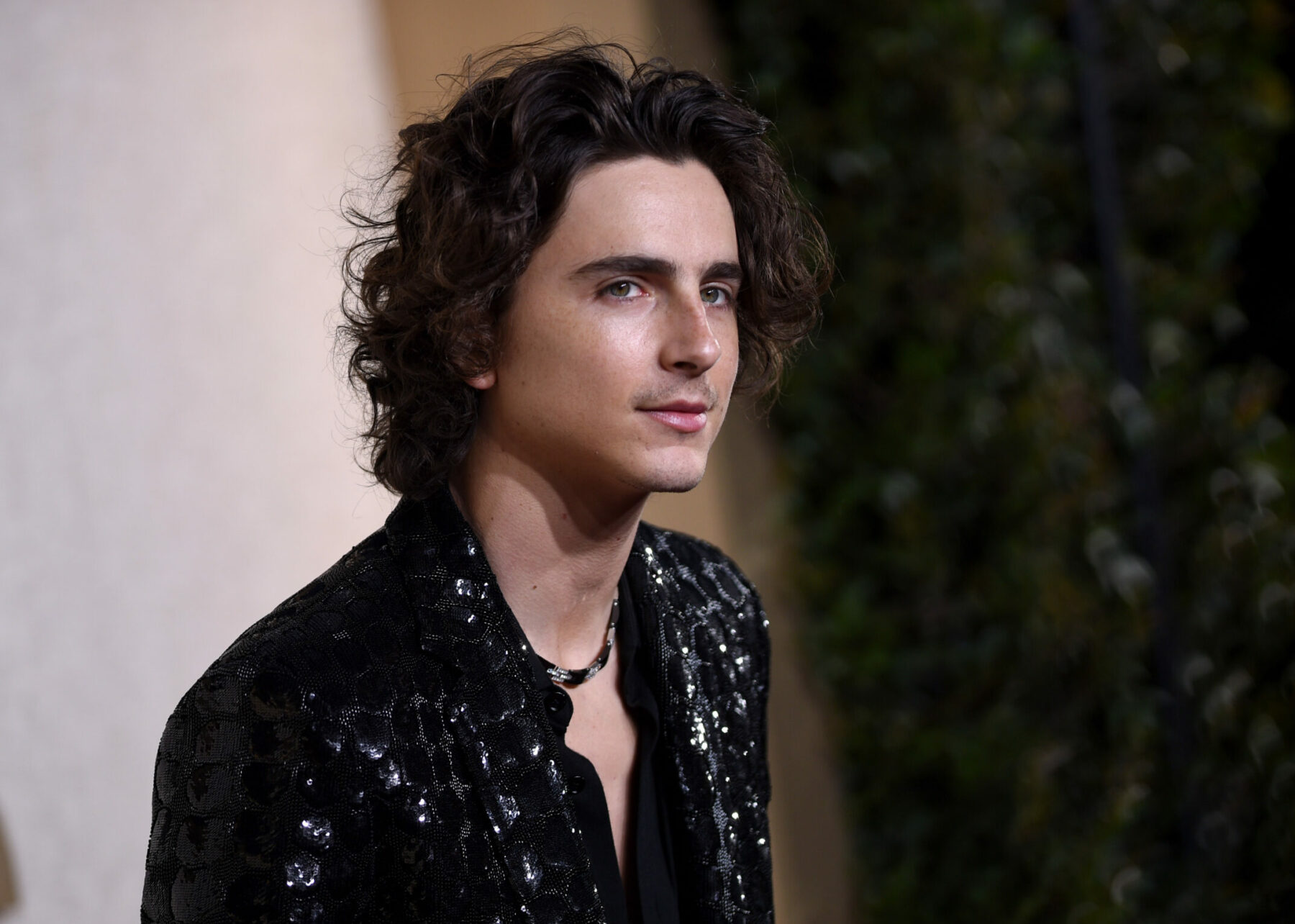 Timothée Chalamet als Bob Dylan im neuen Trailer