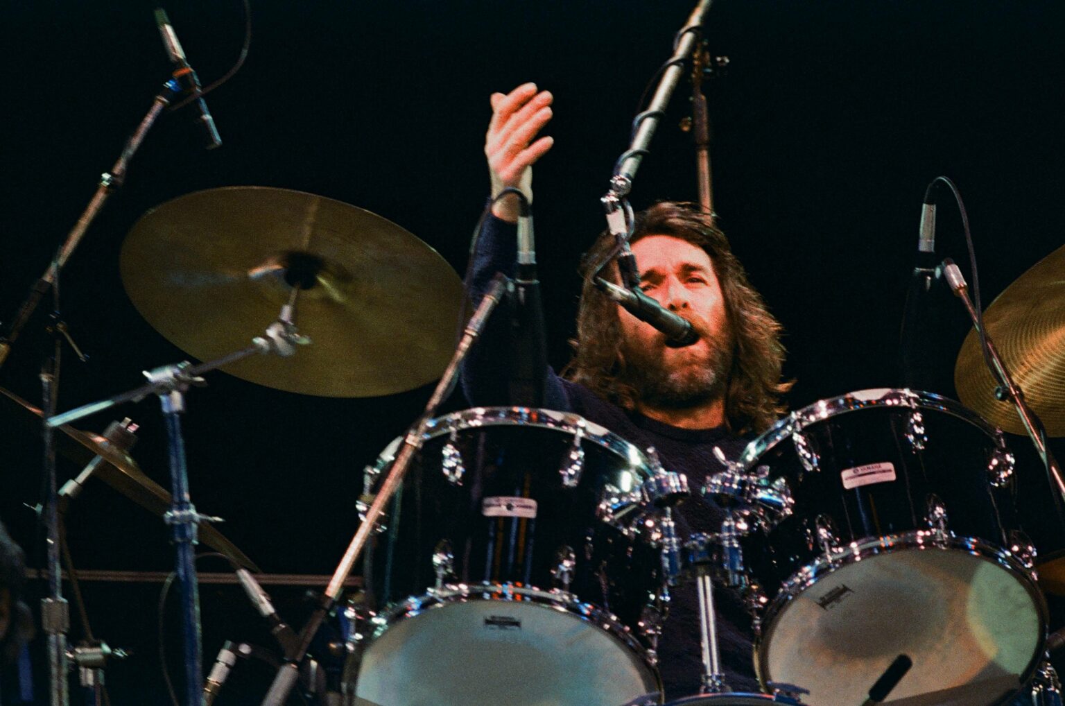 Der Surfer bei den Beach Boys: Leben und Tod von Dennis Wilson